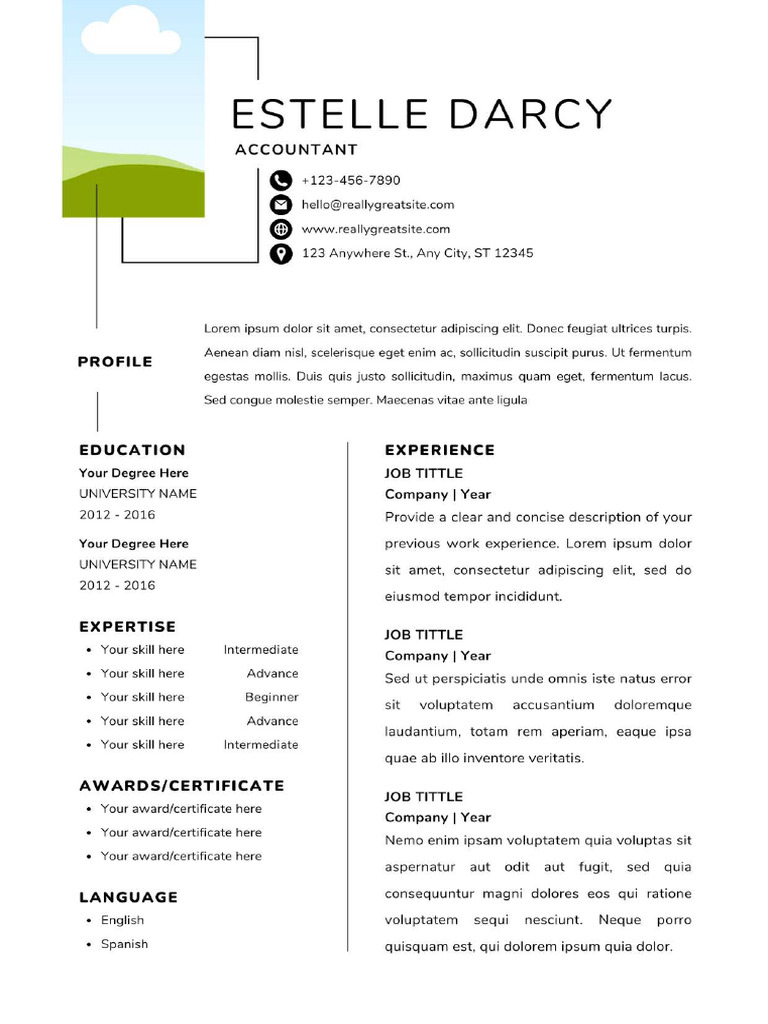 CV Style - Compressed | PDF