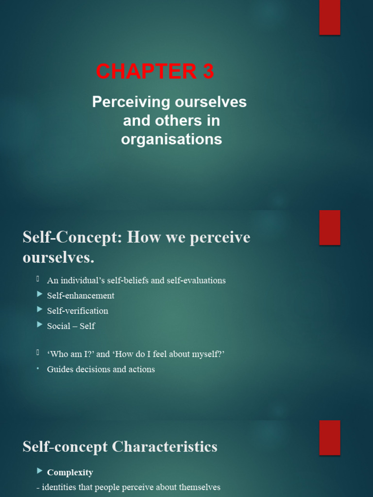 Self-Perception in Organizations | PDF | Self Concept | Perception