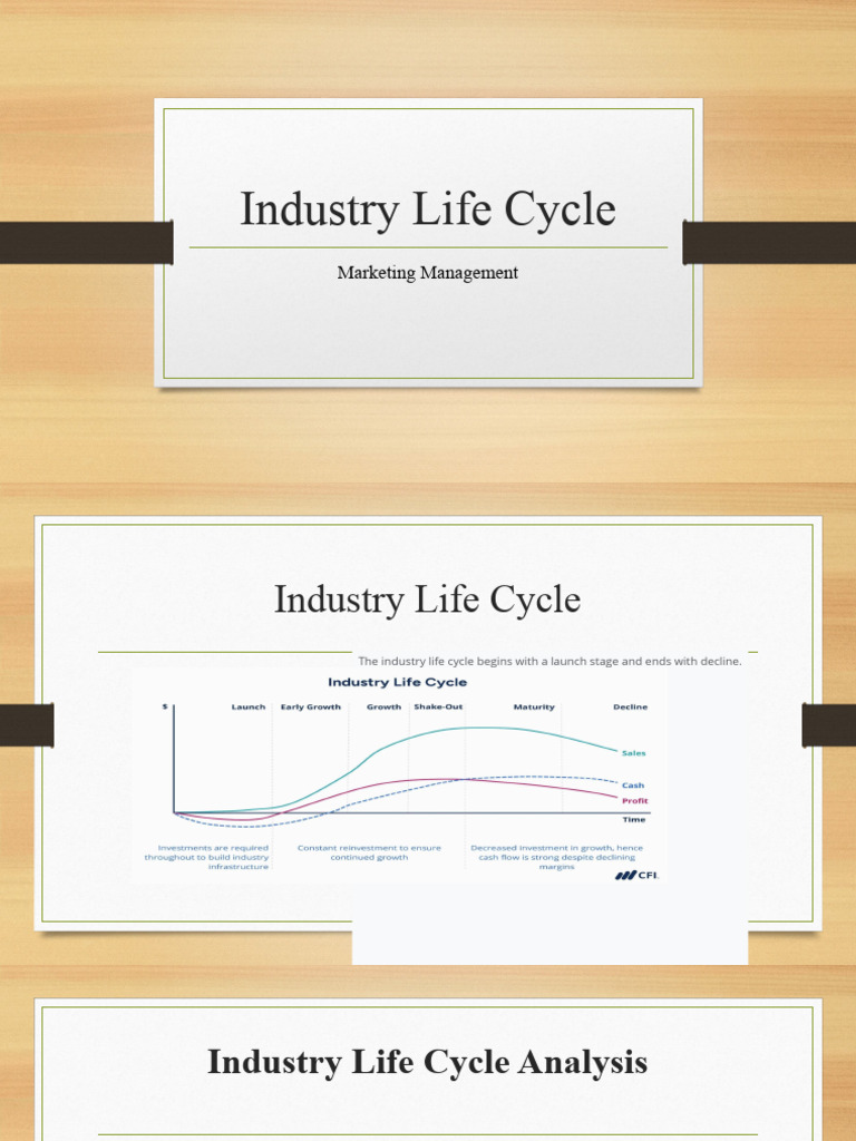 Understanding the Industry Life Cycle | PDF | Business Economics ...