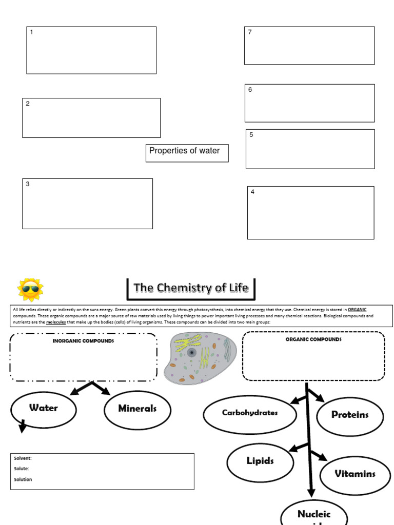Biochem Mindmap 1 2024 | PDF