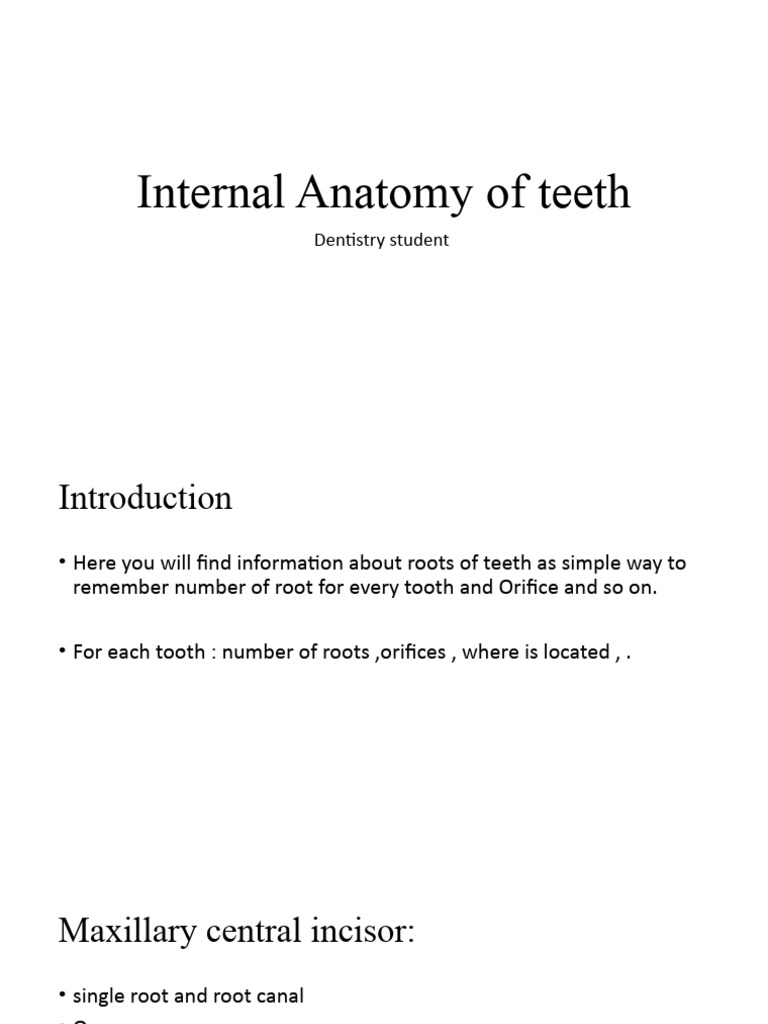 Internal Anatomy of Teeth | PDF