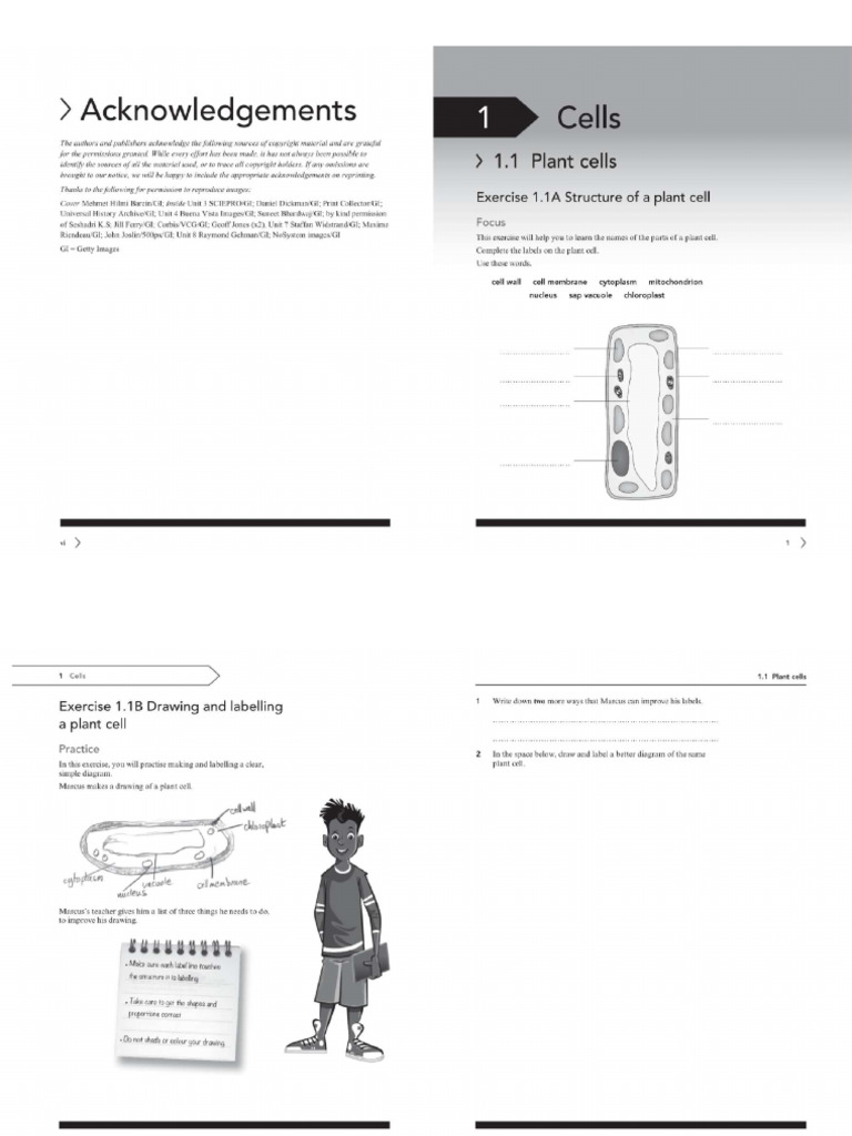 Y7 Science Workbook Full | PDF