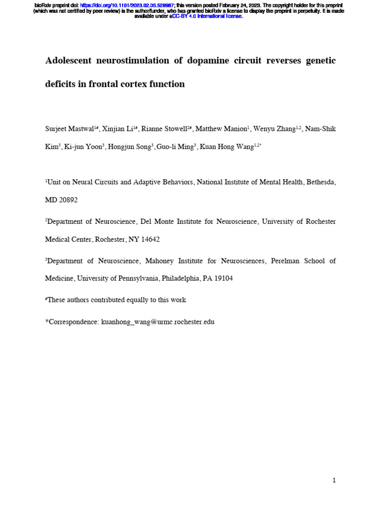 Adolescents Neurostim Dopamine | PDF | Dopamine | Schizophrenia