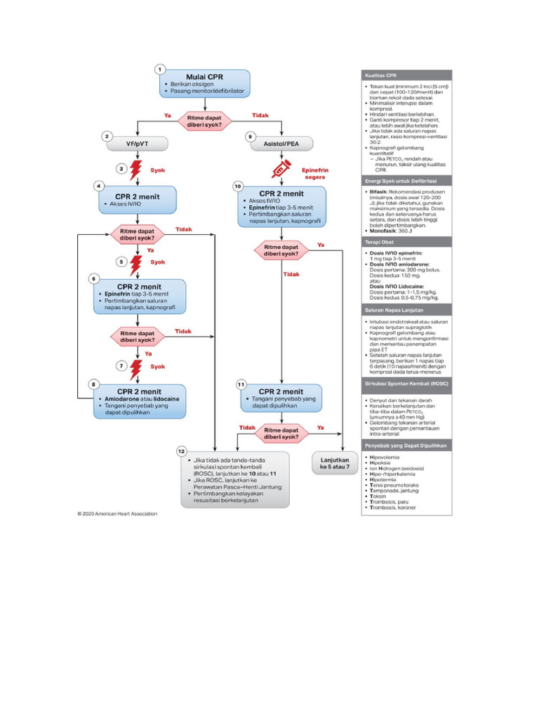 Algoritma henti jantung dewasa | PDF