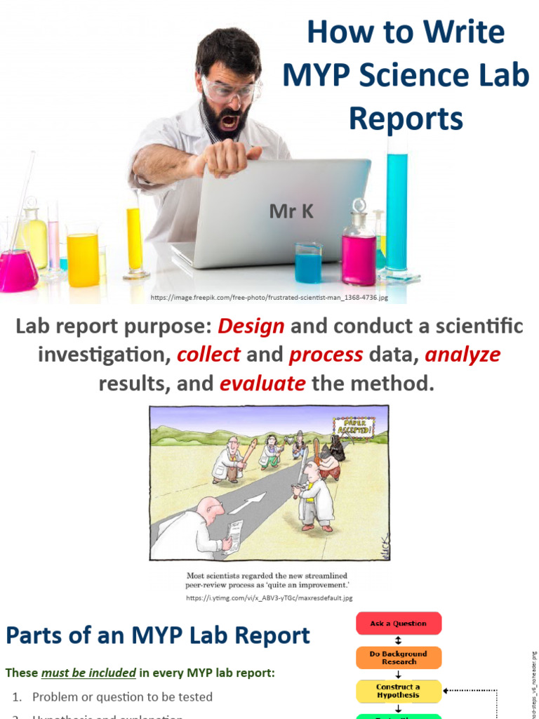 How To Write MYP Science Lab Reports | Download Free PDF | Scientific Method | Validity (Statistics)