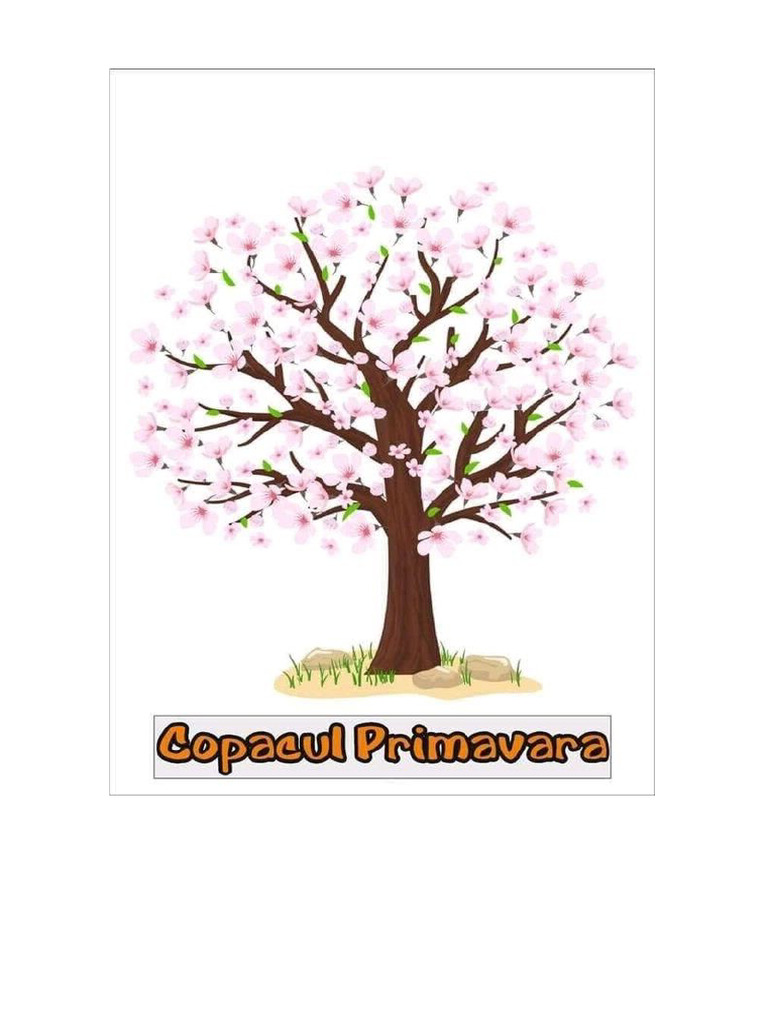 Primavara | PDF