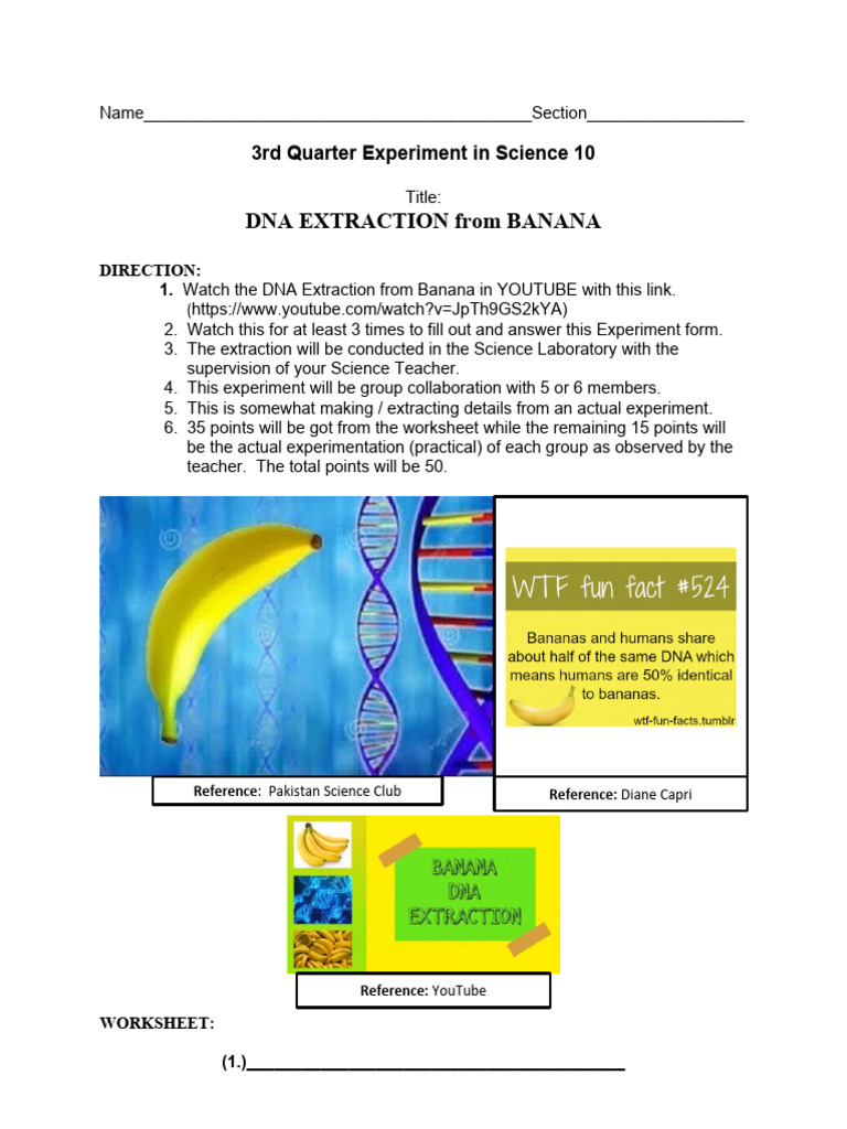 3rd Quarter Experiment In Science 10 2024 Pdf Experiment Science
