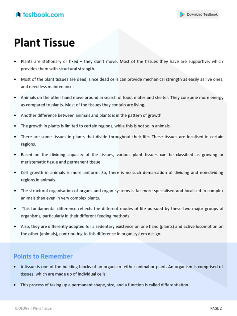 Plant Tissue - Study Notes | PDF | Tissue (Biology) | Plant Stem