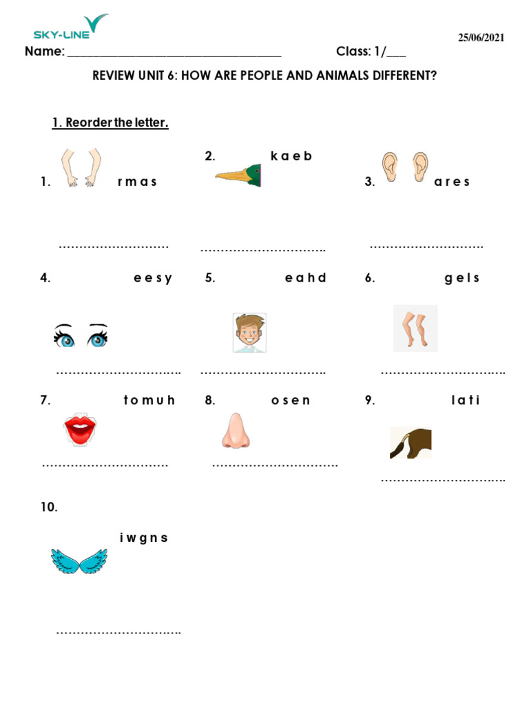 Worksheet 2 - Review Unit 6 - Grade 1 (25.06.2021) | PDF | Zoology
