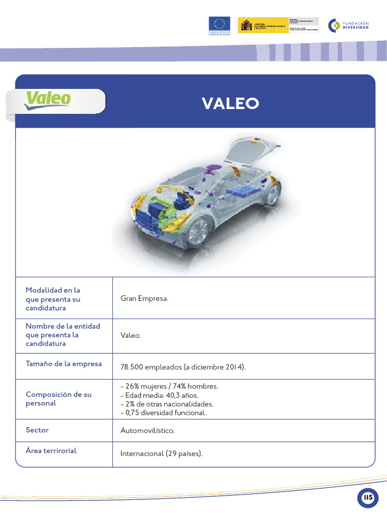Diversidad Valeo | PDF | Business