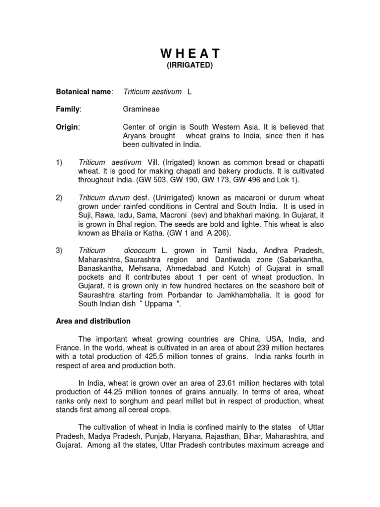 Wheat: (Irrigated) | PDF | Sowing | Wheat