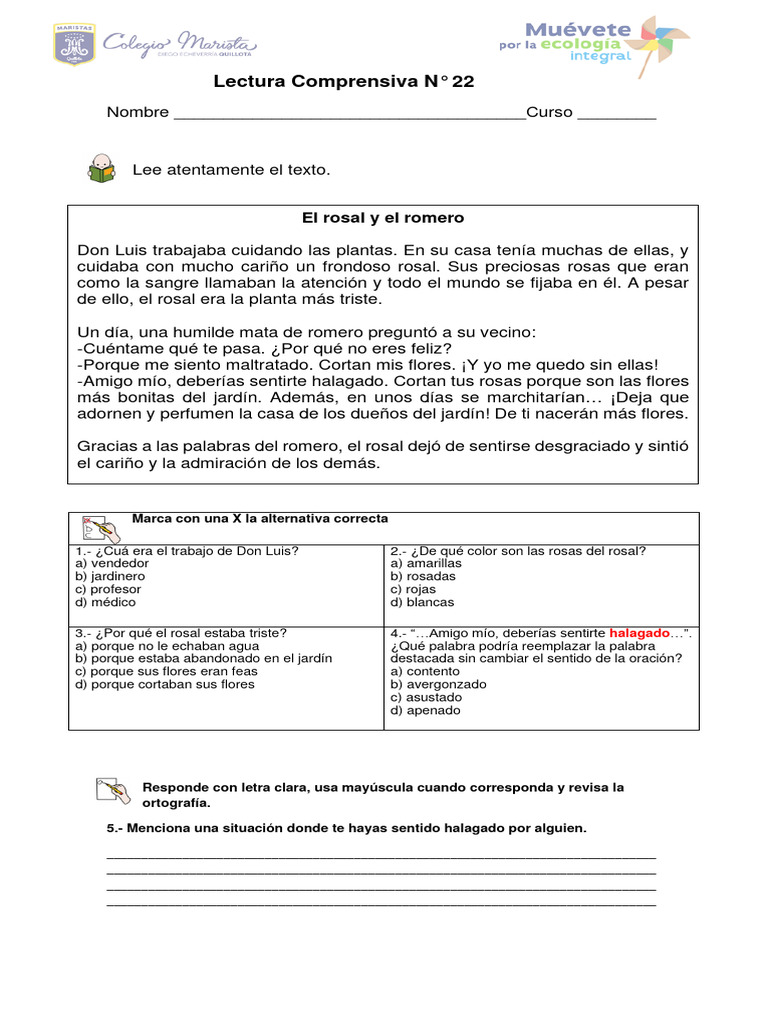 Lectura Comprensiva 22 | PDF
