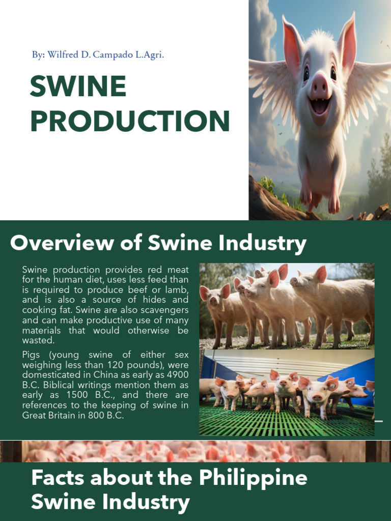 Swine production (Lesson 1) | PDF | Pig | Ethnobiology