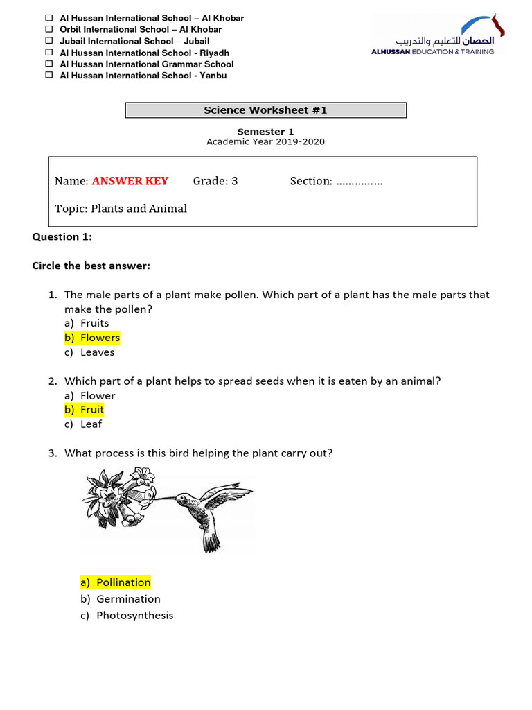 Grade 3 Plant Science Worksheet | PDF | Seed | Plants