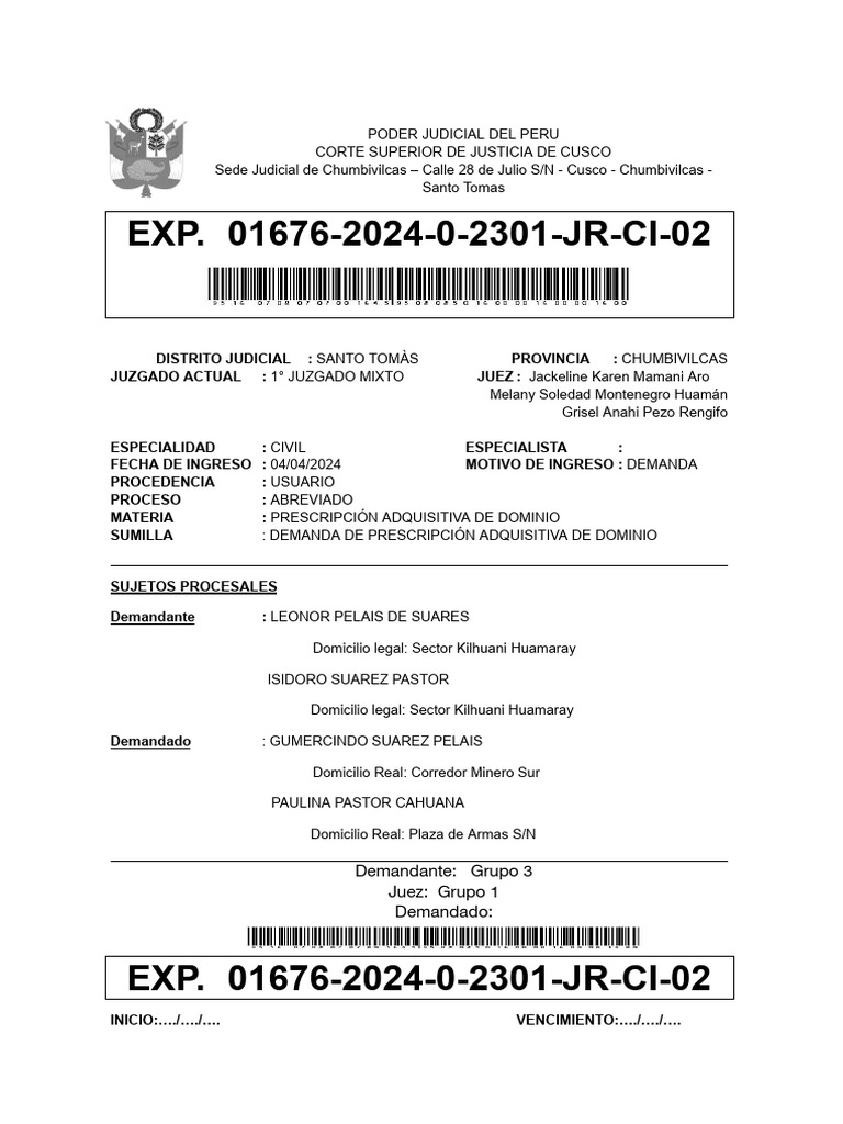 Caratula Expediente Judicial | PDF