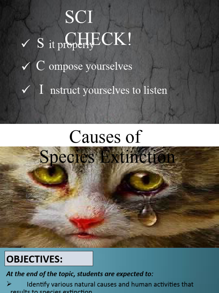 Causes of Species Extinction | PDF | Climate Change | Human Impact On ...