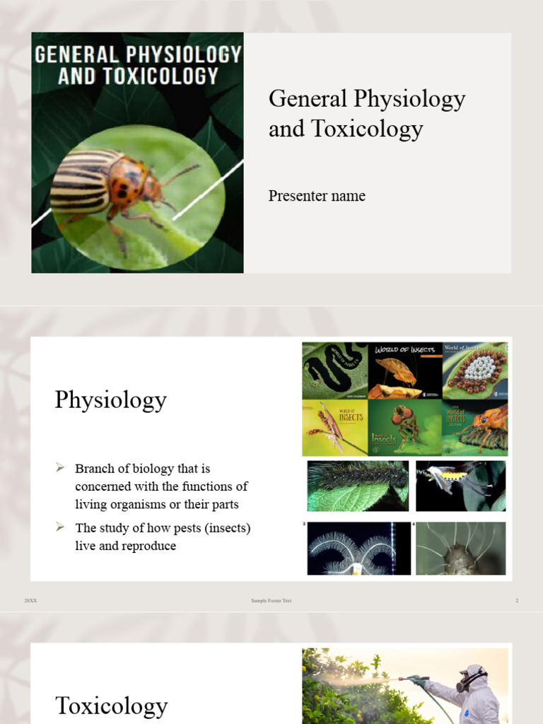 Insect Physiology and Toxicology | PDF | Beetle | Insects
