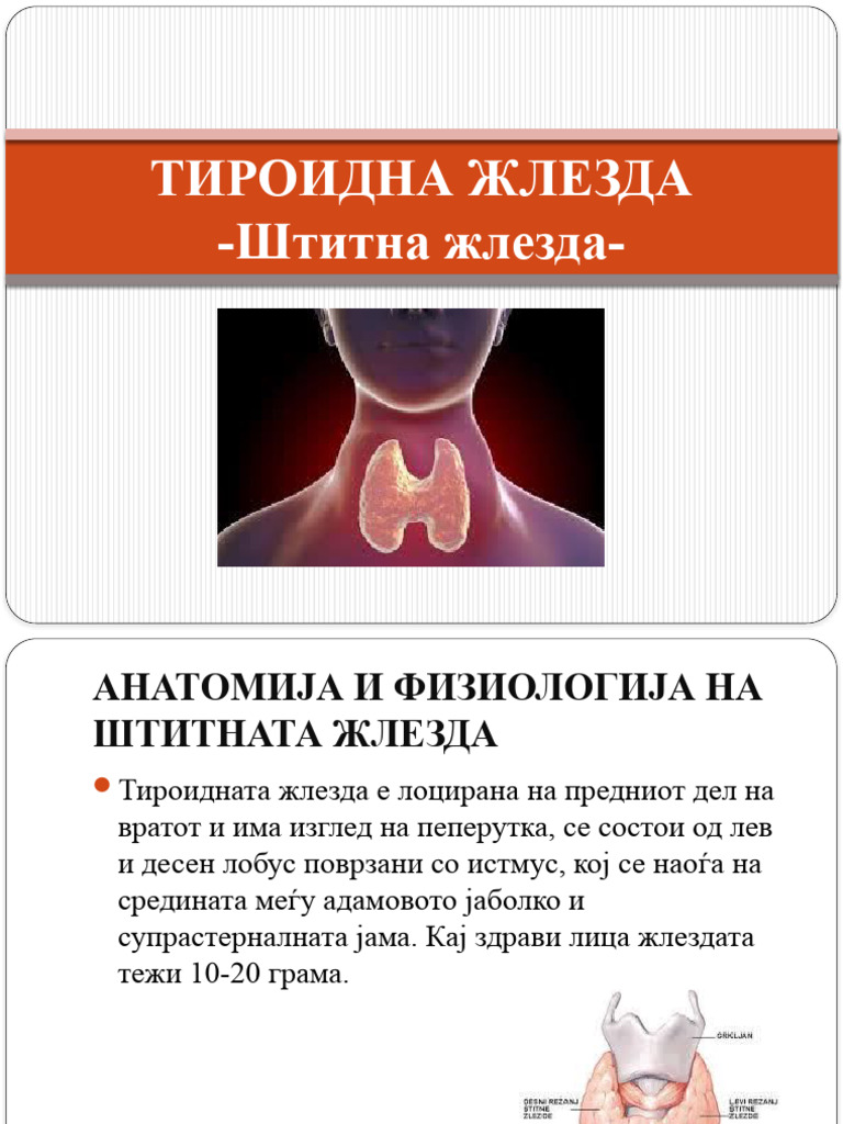 INTERNA MEDICINA Zaboluvanja Na Stitna Zlzda | PDF