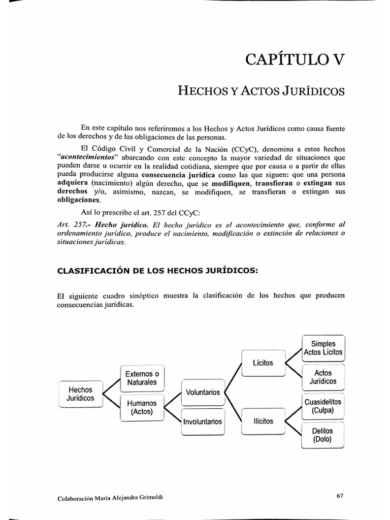 CapÃ - Tulo 5 Libro | PDF