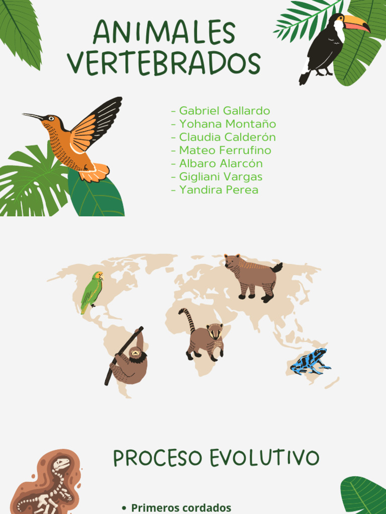 Características y Clasificación de Vertebrados | PDF | Vertebrados ...