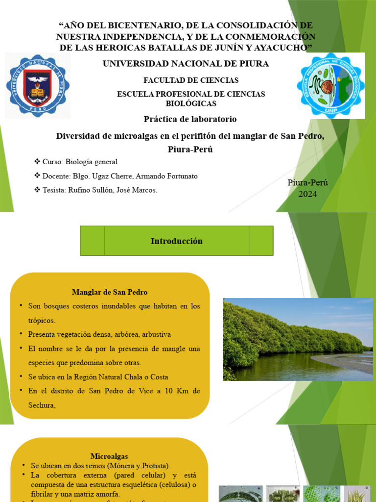 Practica de Microalgas | PDF | Algas | Organismos