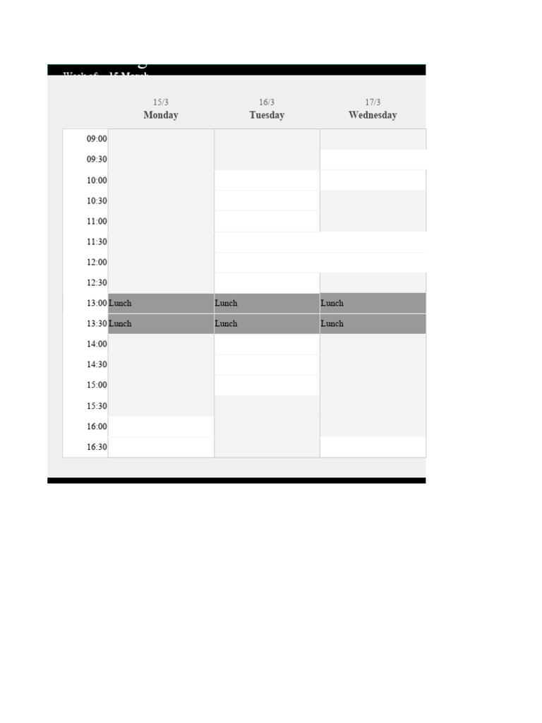 Weekly Work Log | PDF