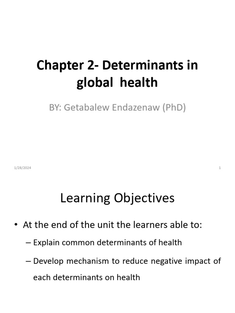 Global Health Introduction | PDF | World Health Organization | Health Care