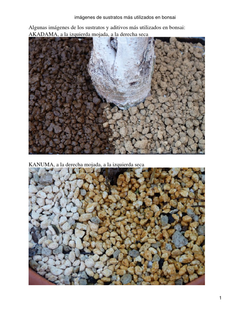 Guia Visual de Sustratos | PDF | Bonsai | Arena