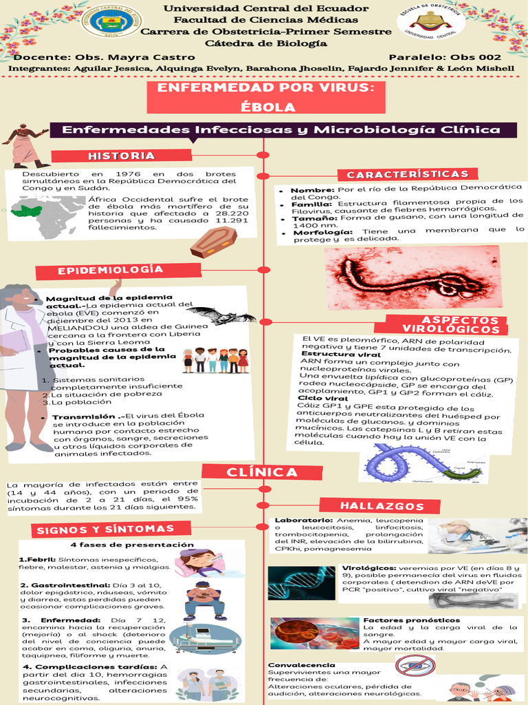 Infografía de Virus | PDF | Virus | Especialidades Medicas