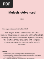 Meiosis Amoeba Sisters | PDF | Meiosis | Mitosis