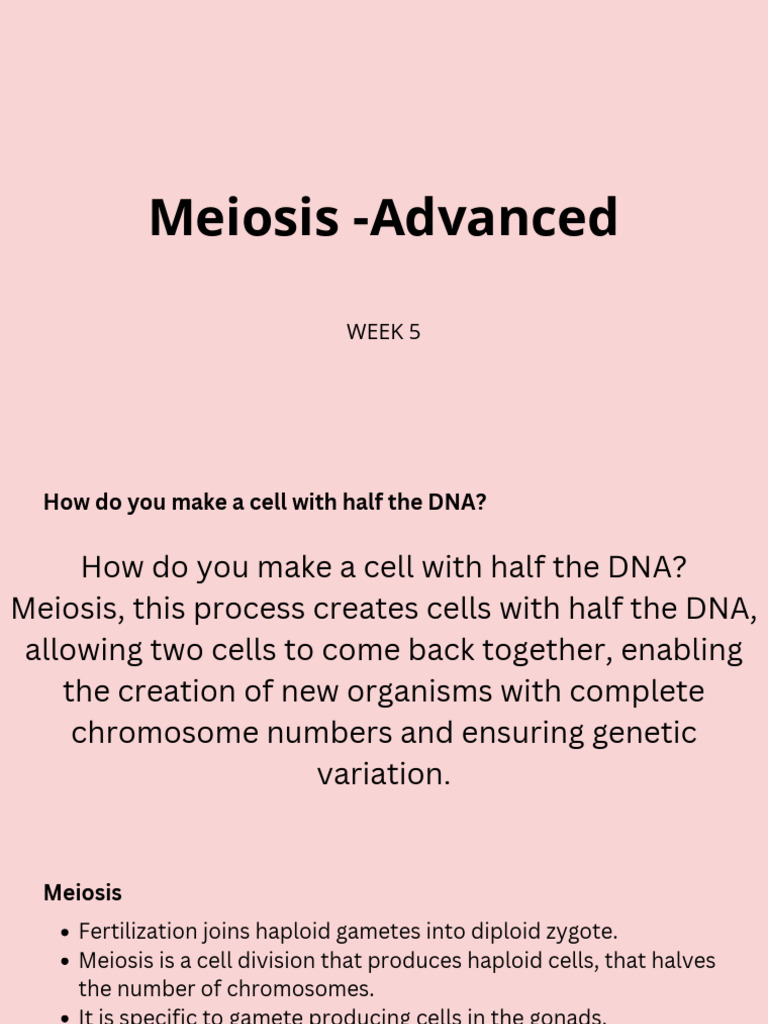 Meiosis-Advanced 20240304 125003 0000 | PDF | Meiosis | Mitosis