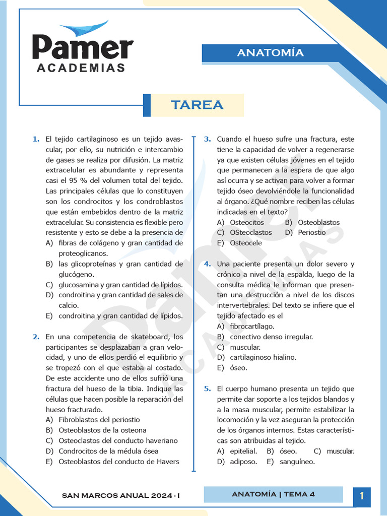 ANATOMÍA - Tarea Sem 5 | PDF | Hueso | Tejido conectivo