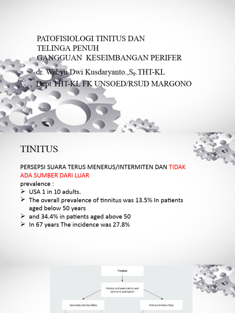 Tinnitus & Ear Fullness Guide | PDF | Tinnitus | Auditory System