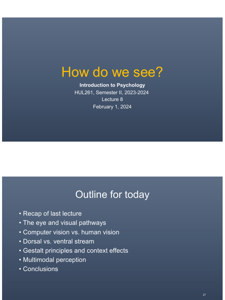 Lecture 8 | PDF | Visual Cortex | Visual System