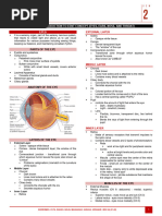 Brightness Acuity Test | PDF | Visual Acuity | Cataract
