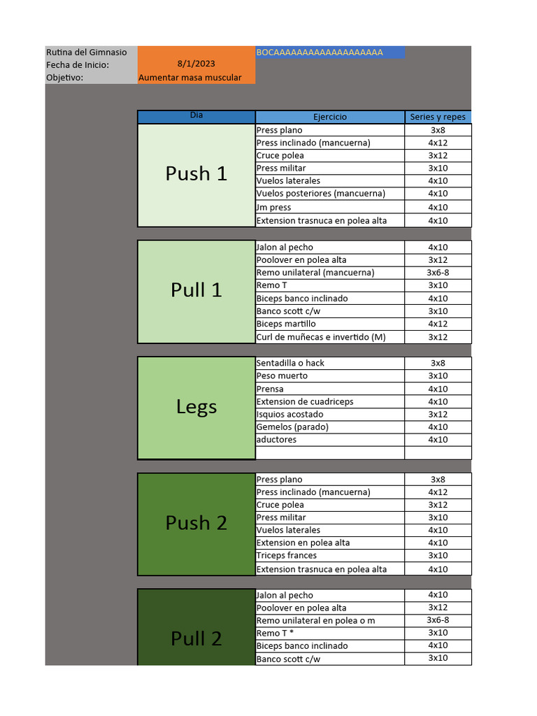 Libro 1 | PDF | Entrenamiento con pesas