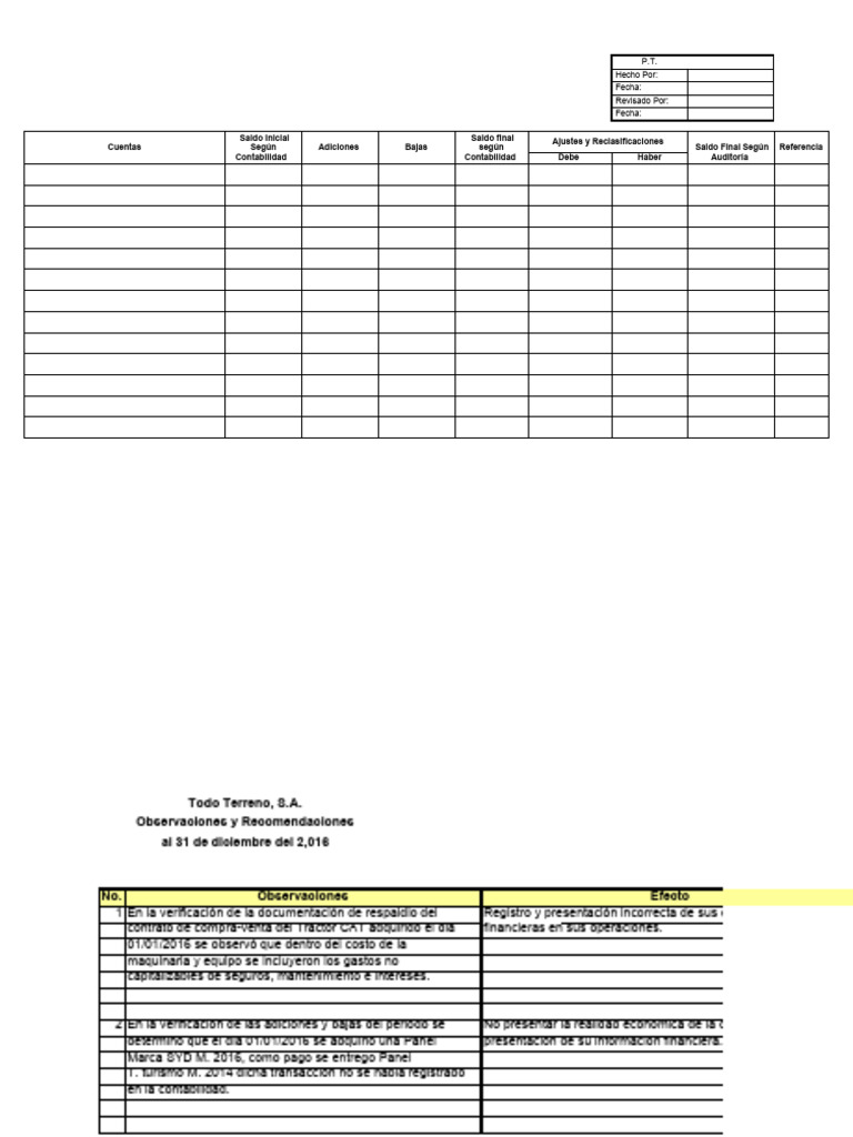 Formato Planta y Equipo | PDF | Contabilidad | Contralor