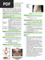 Fisiopatología Del Acv Isquémico | PDF | Carrera | Isquemia