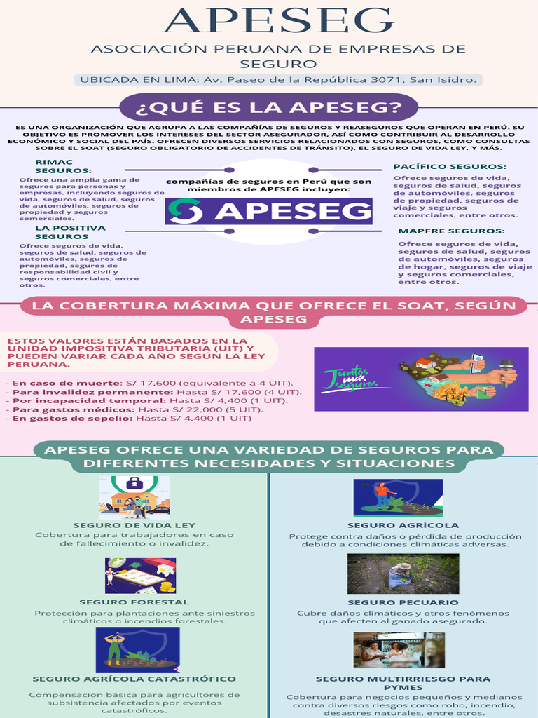 Infografía APESEG | PDF | Seguro | Seguro de vehículo