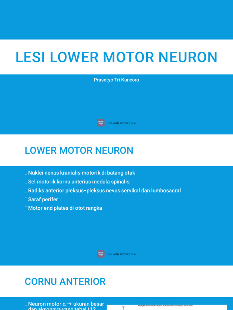 Lesi Lower Motor Neuron (LMN) | PDF