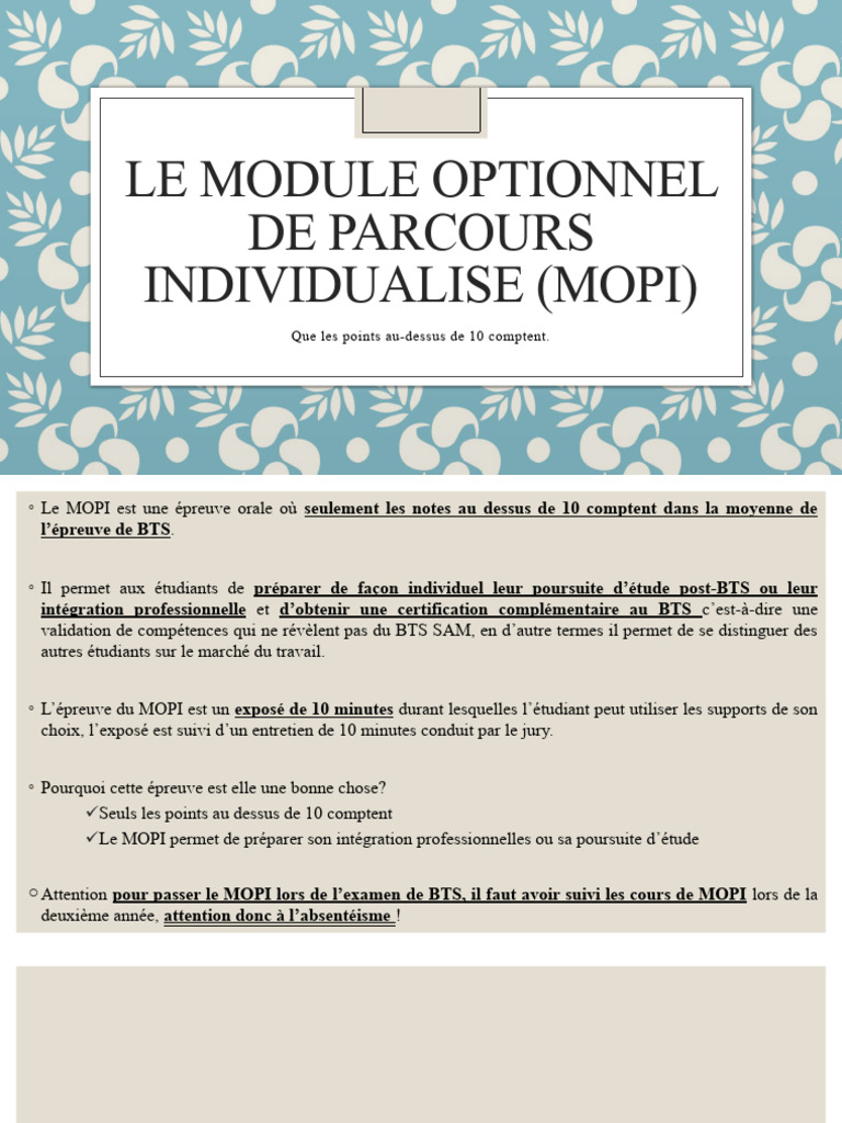 MOPI : Module Optionnel BTS SAM | PDF