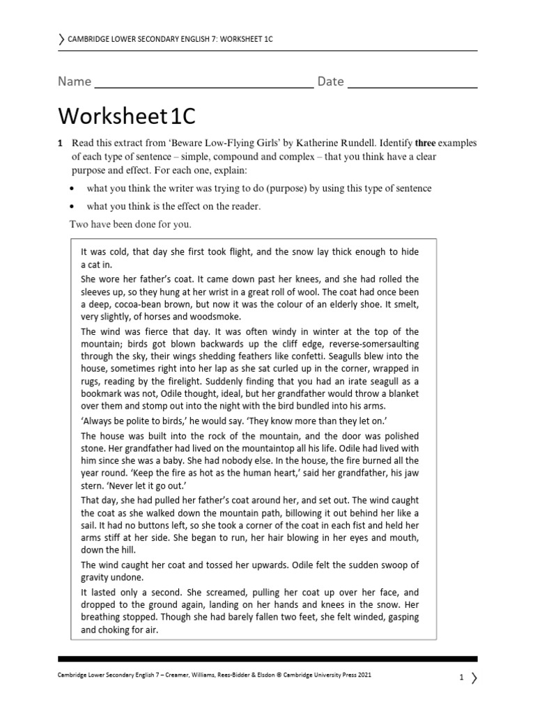 LS English 7 Worksheet 1C | PDF