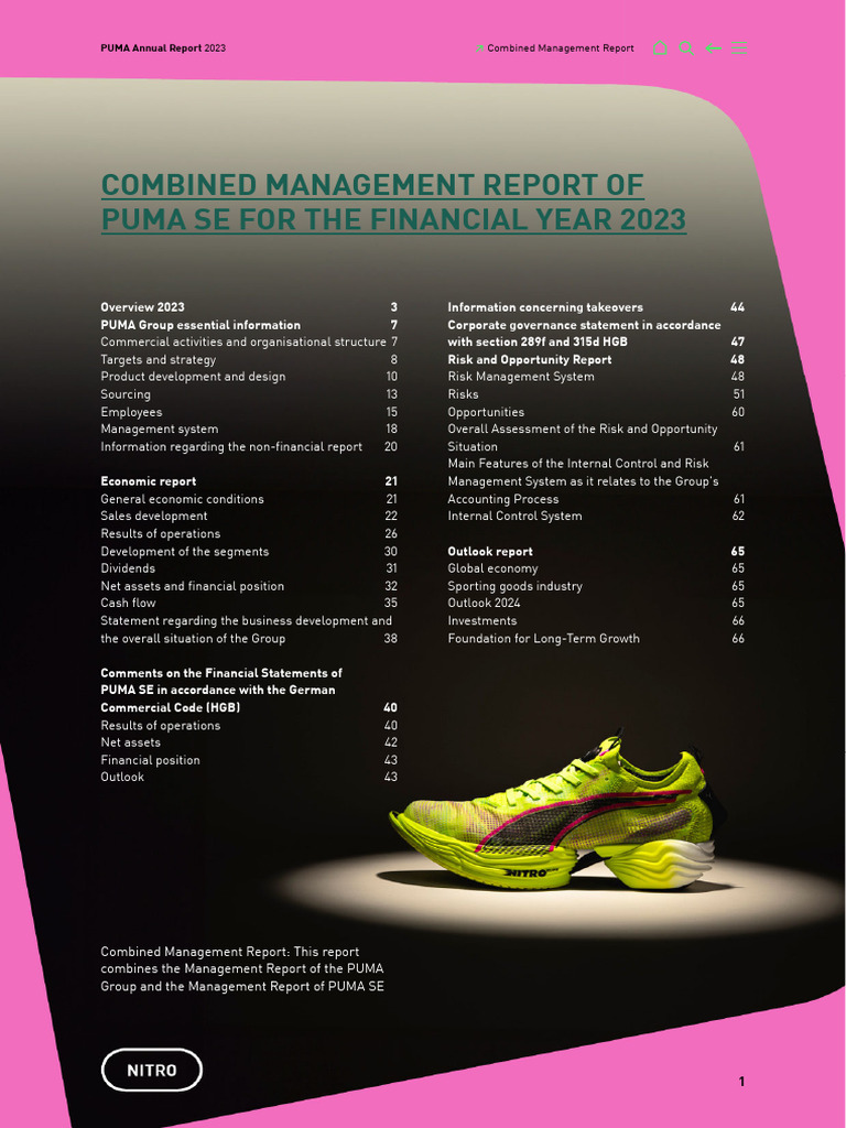 Puma Se Financial Statement German Gaap 2023 2 | PDF | Procurement ...