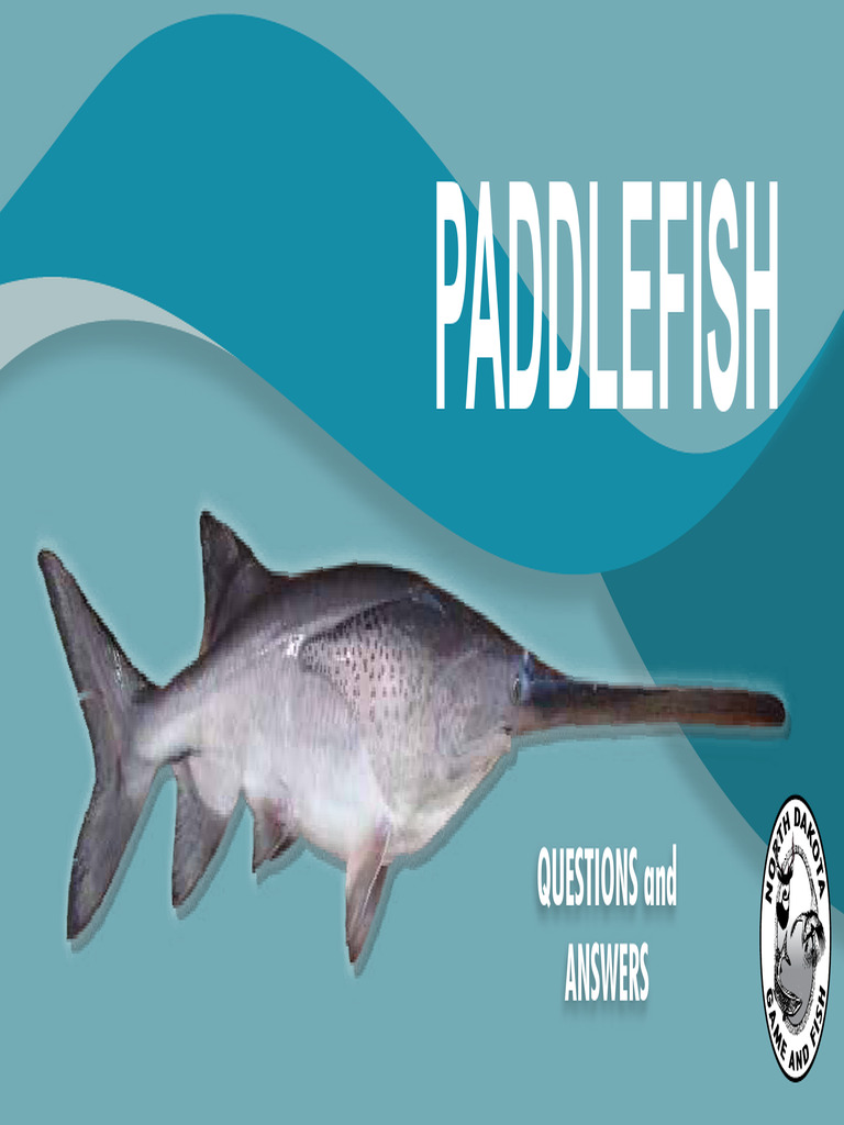 Paddlefish Brochure 2019 | Download Free PDF | Missouri River | Spawn ...