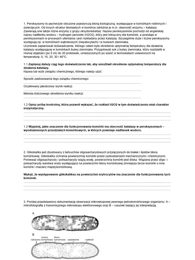 Komórka - Zadania 2 PDF | PDF