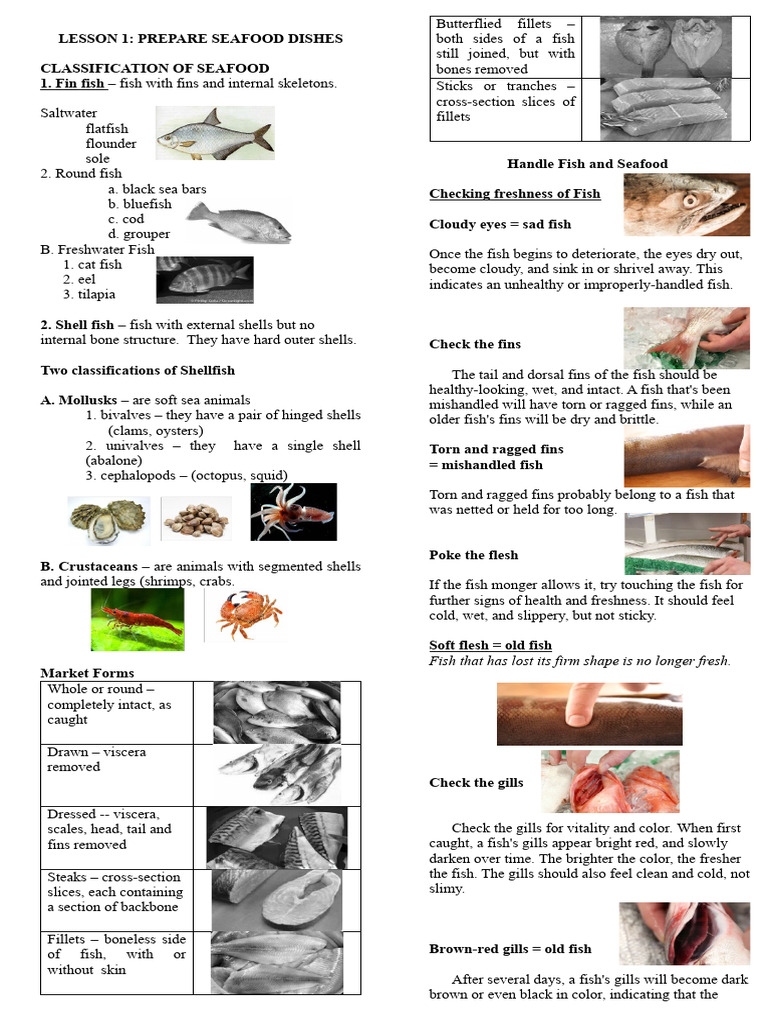 Lesson 1 - Prepare Seafood Dishes Notes | Download Free PDF | Seafood ...
