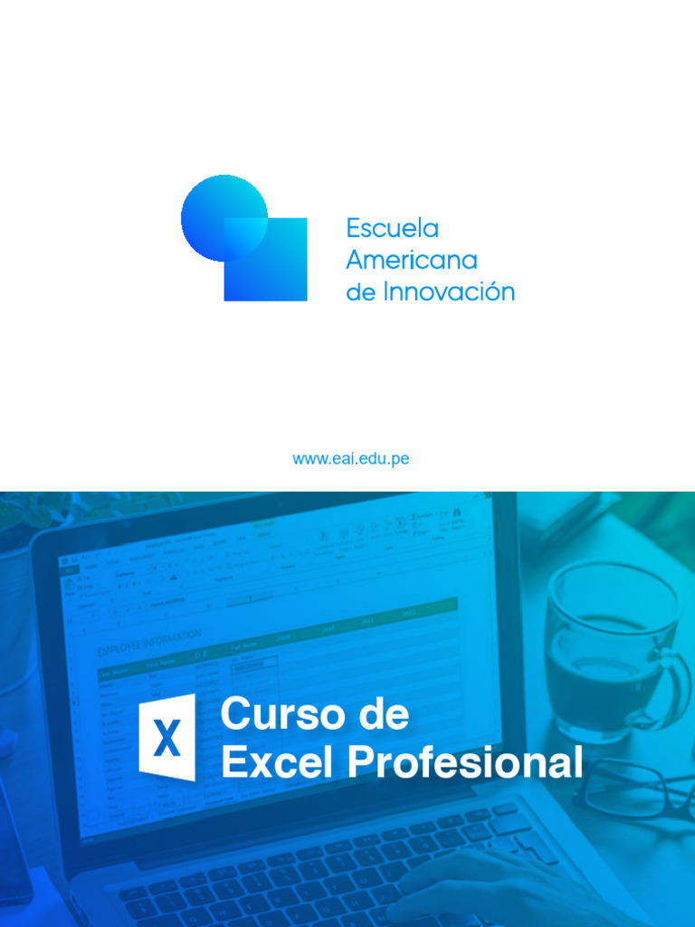 Brochure Excel Profesional | PDF | Microsoft Excel | Bases de datos