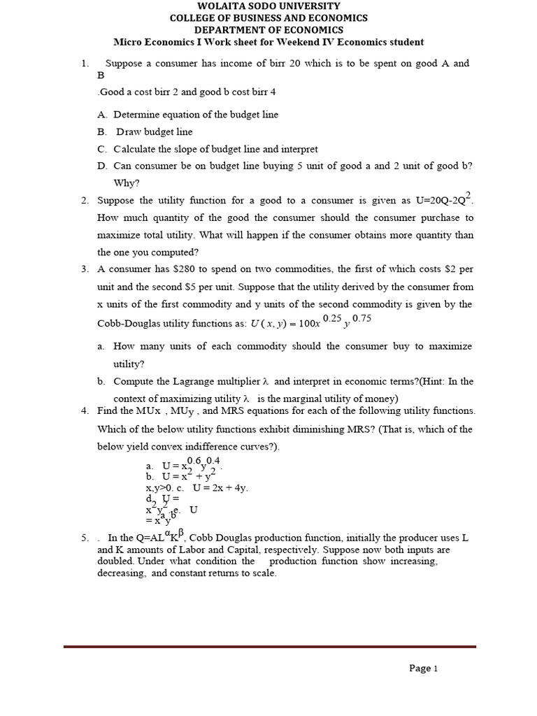Micro Worksheet | PDF | Utility | Production Function