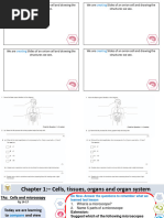 Onion Cell Practical for GCSE Biology | PDF
