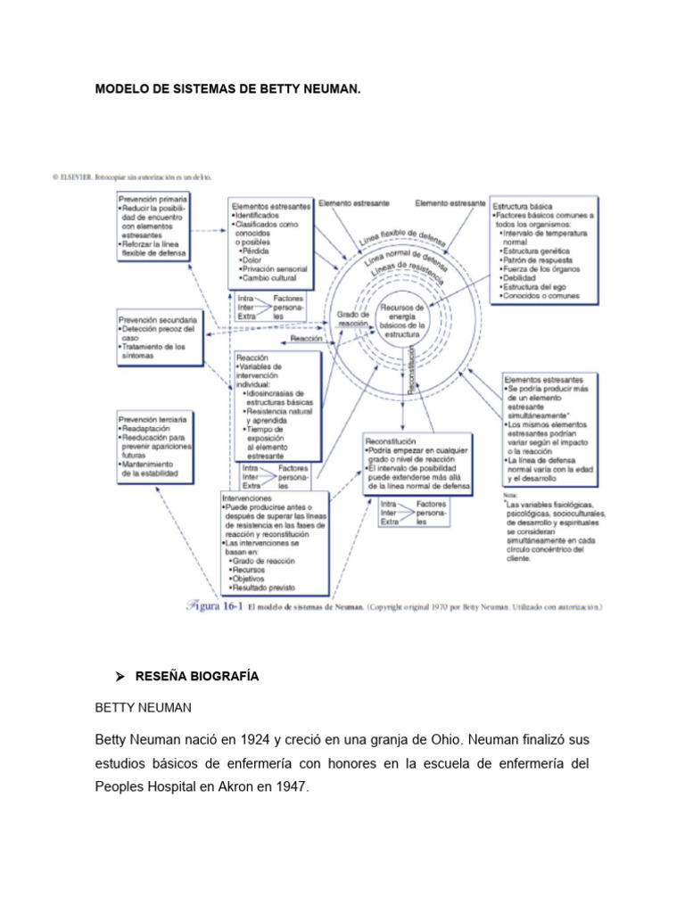MODELO DE SISTEMAS DE BETTY NEUMAN | PDF | Estrés (biología) | Sistema